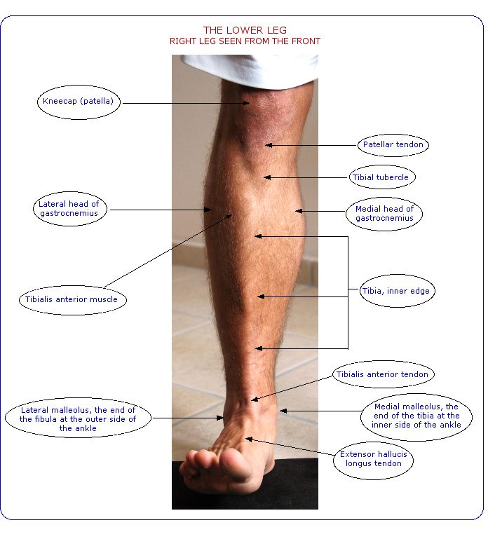 Vivian Grisogono ABOUT THE SHIN Vivian Grisogono ABOUT THE SHIN